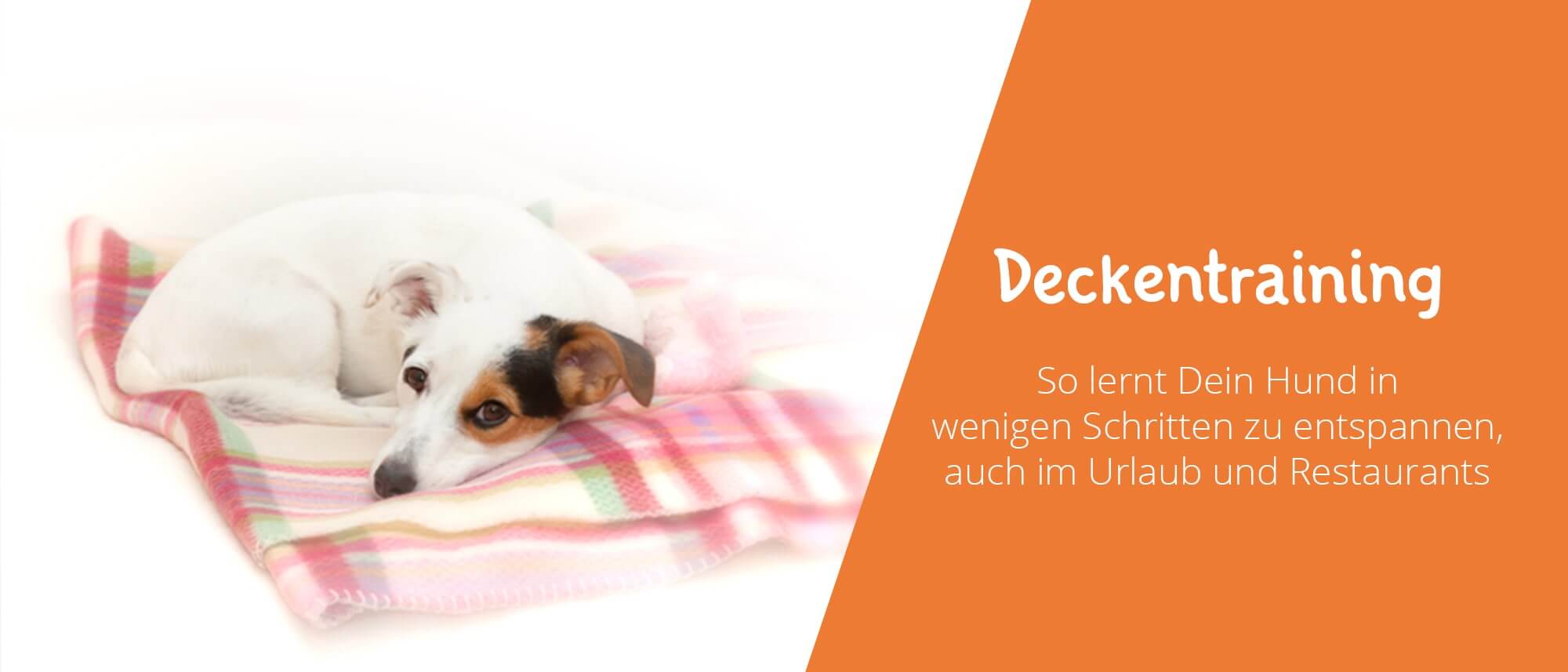 Deckentraining - so kann Dein Hund überall entspannen