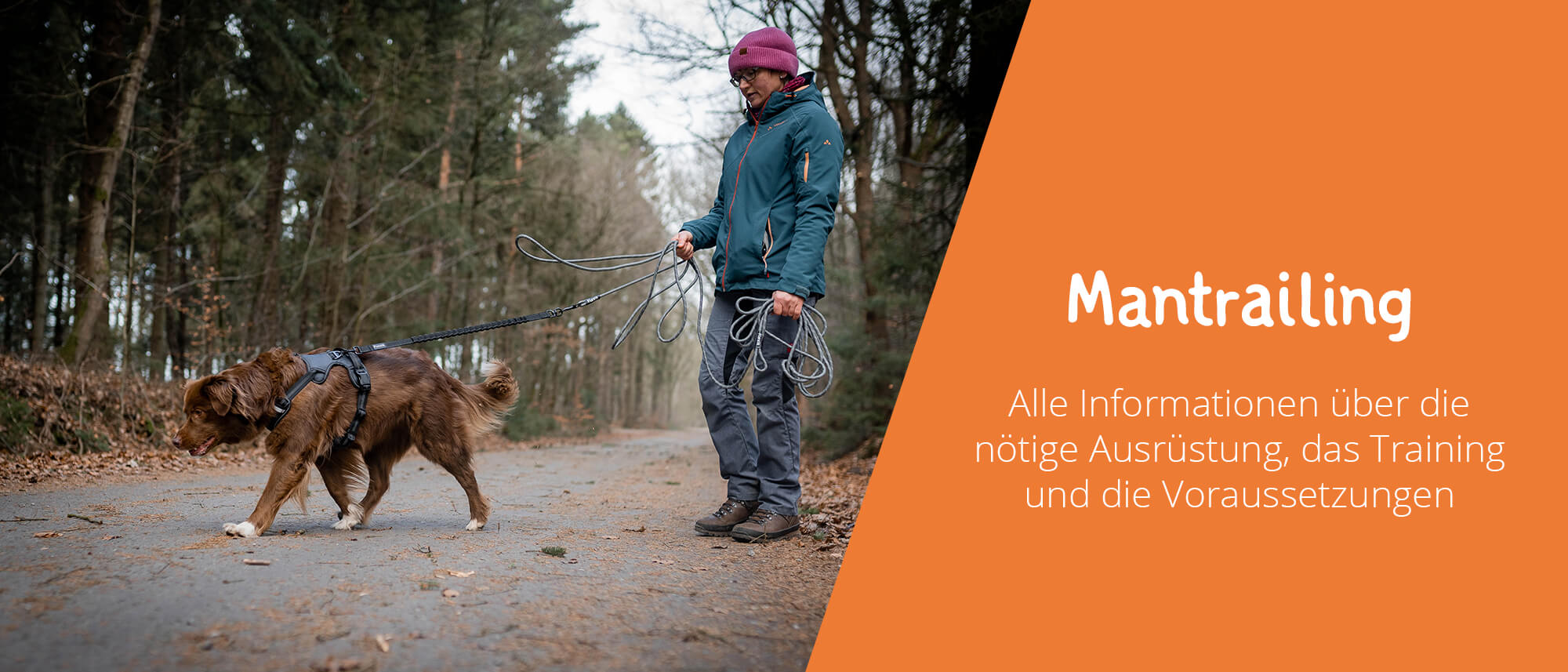 Mantrailing mit Hunden - Ausrüstung, Training und 5 Tipps