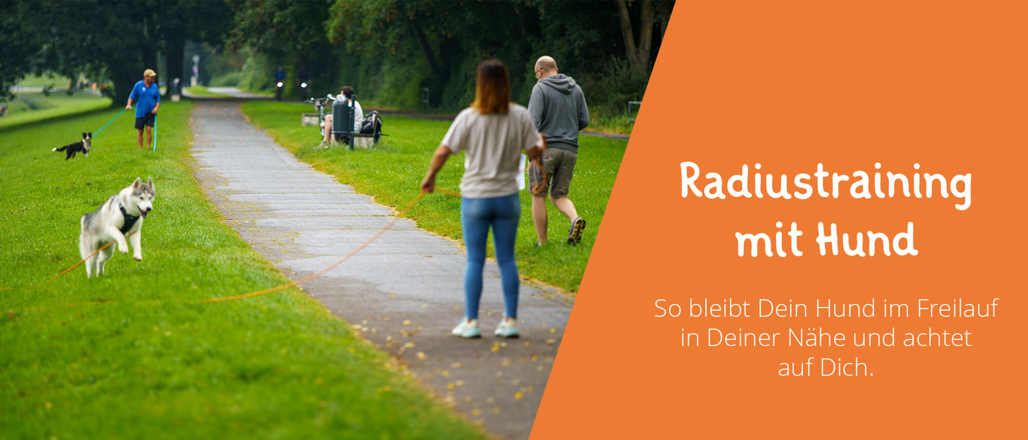 Radiustraining mit Hund - 5 Tipps für einen entspannten Freilauf